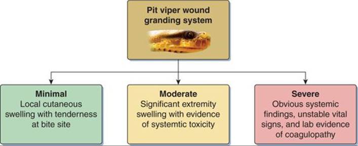 Snake Envenomations - Strange and Schafermeyer's Pediatric Emergency ...