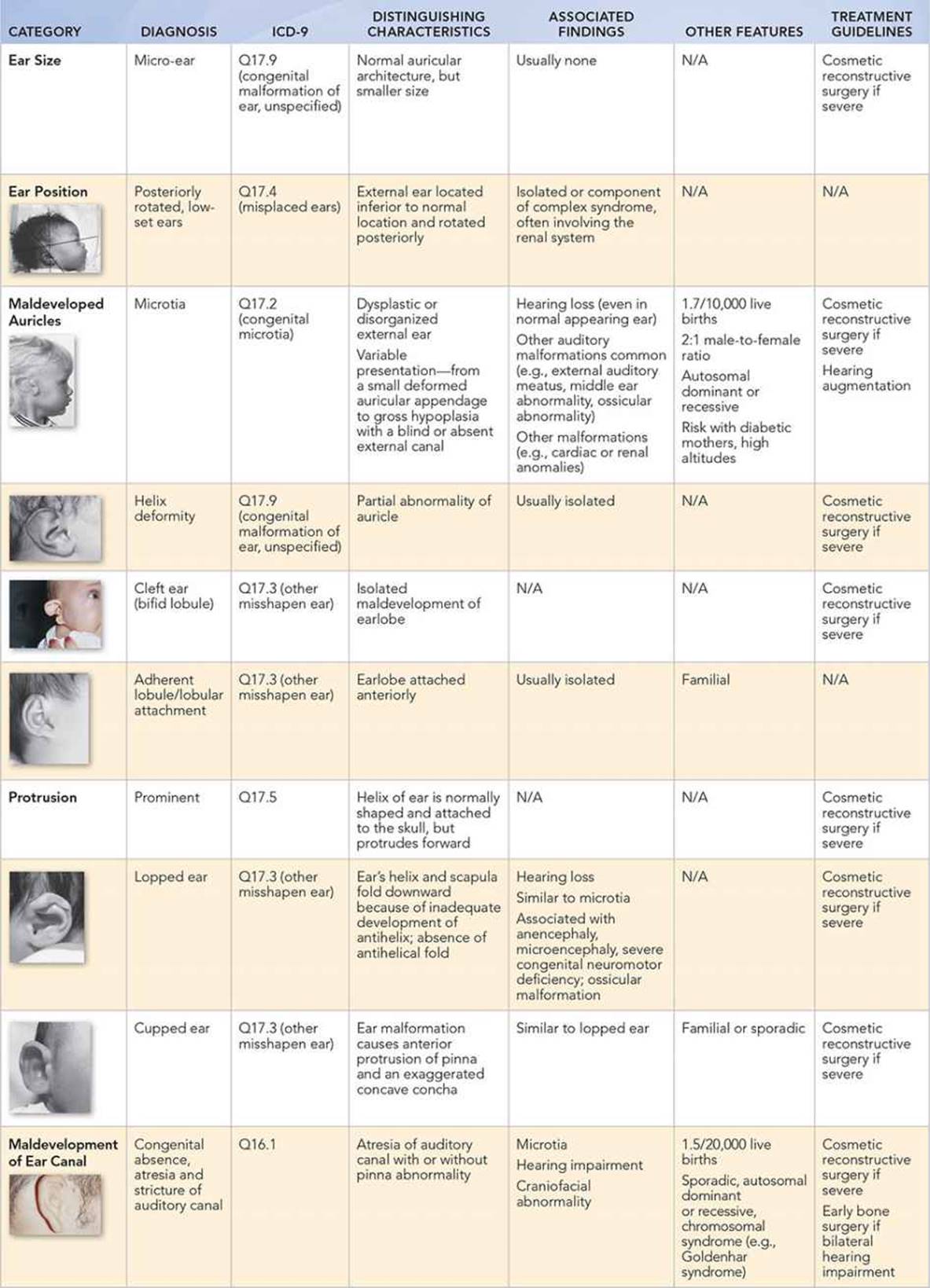 Abnormalities in Ear Shape and Position - Visual Diagnosis and ...