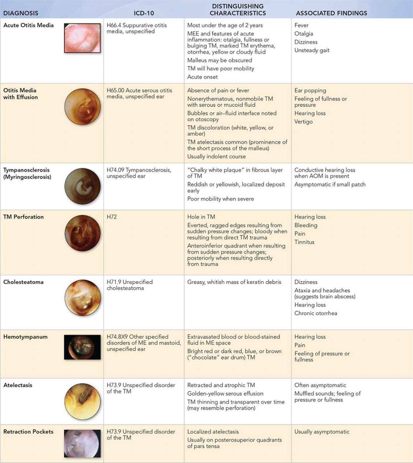 Tympanic Membrane Abnormalities - Visual Diagnosis and Treatment in ...