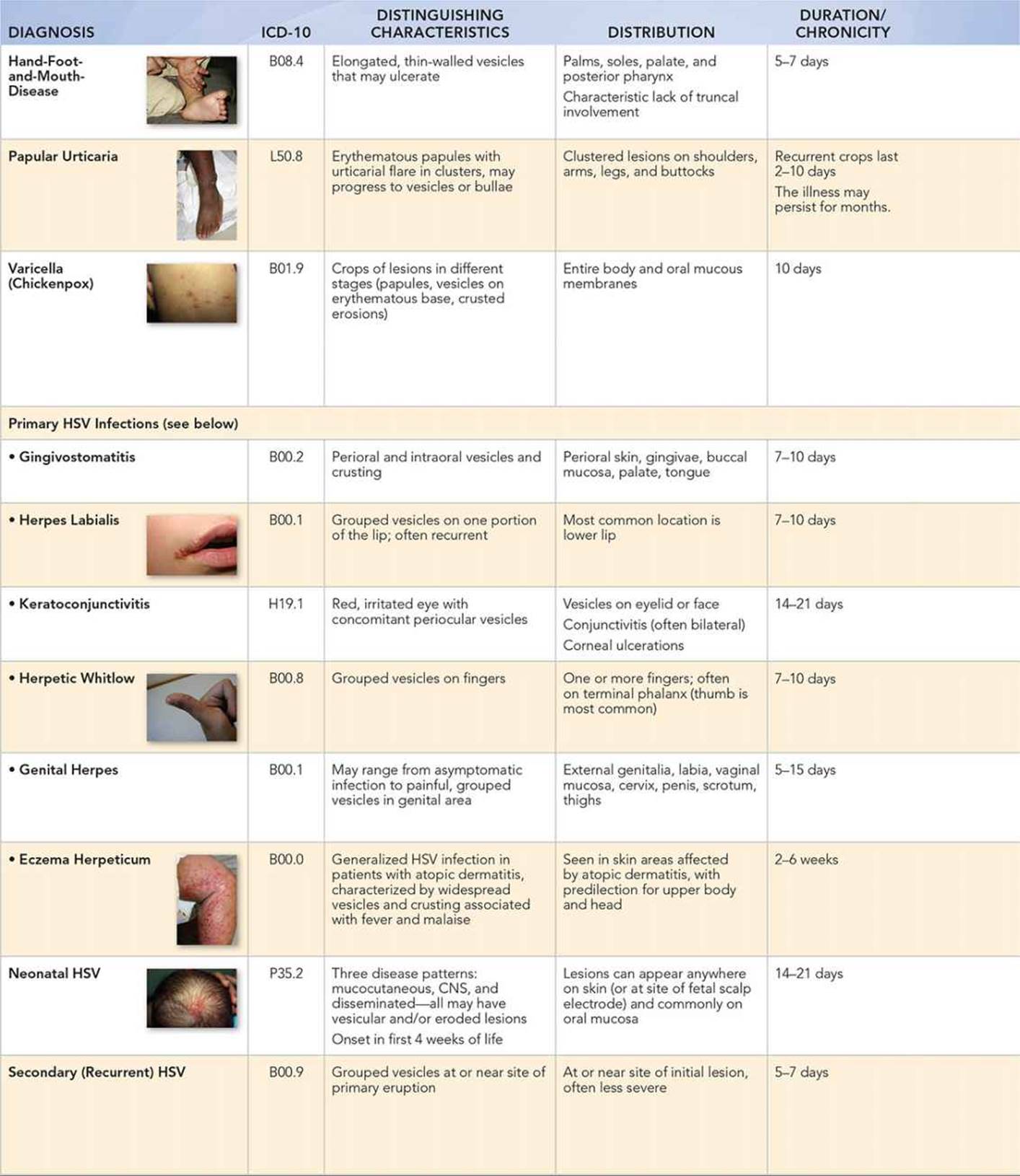 Vesicular Rashes - Visual Diagnosis and Treatment in Pediatrics, 3 Ed.