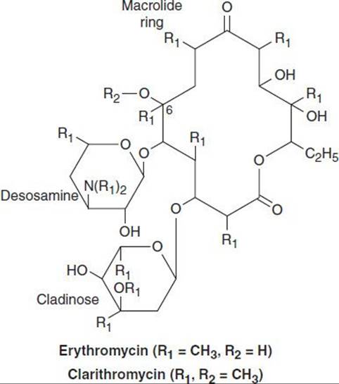Tetracyclines, Macrolides, Clindamycin, Chloramphenicol, Streptogramins ...
