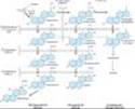 Adrenocorticosteroids & Adrenocortical Antagonists - Basic & Clinical ...