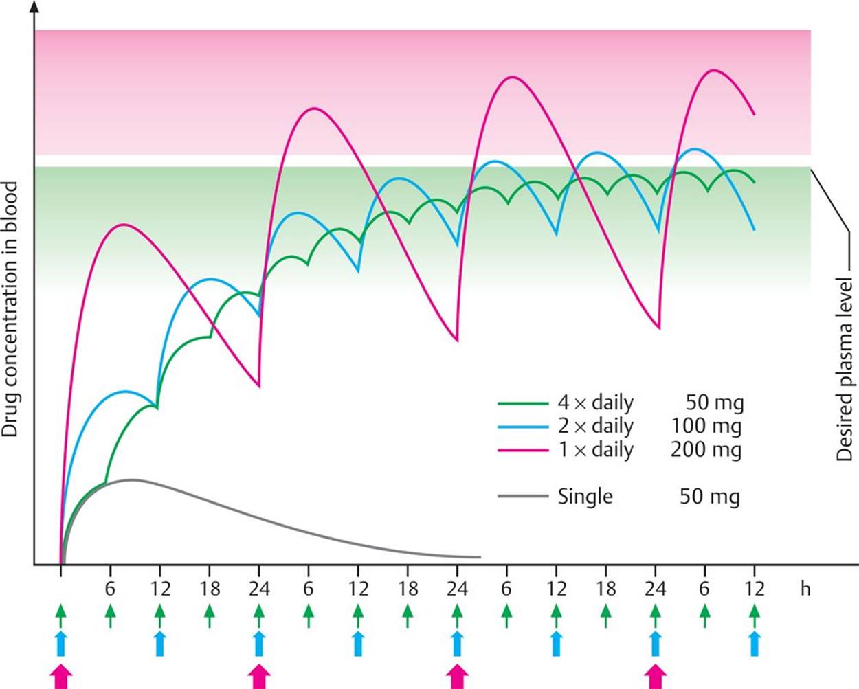 Pharmacokinetics - Pharmacology - An Illustrated Review