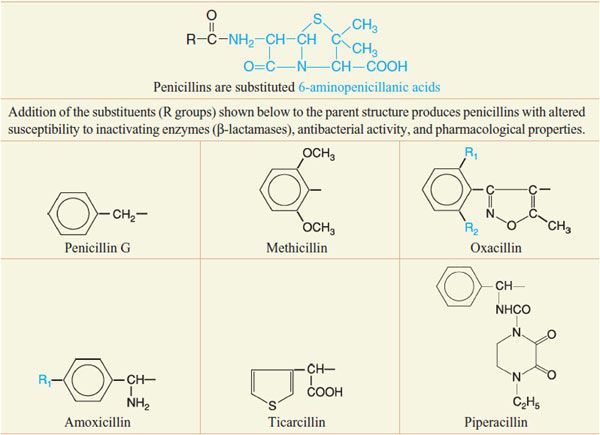 Penicillins, Cephalosporins, and Other β-Lactam Antibiotics ...