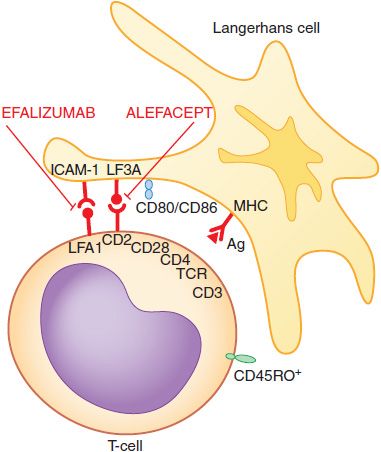 Dermatological Pharmacology - Special Systems Pharmacology - Goodman ...