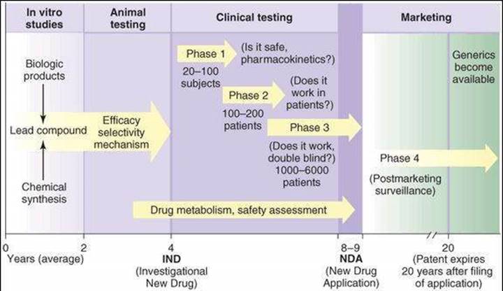 Drug Evaluation and Regulation - Katzung & Trevor's Pharmacology ...