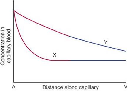 Blood as a Circulatory Fluid and the Dynamics of Blood and Lymph Flow ...