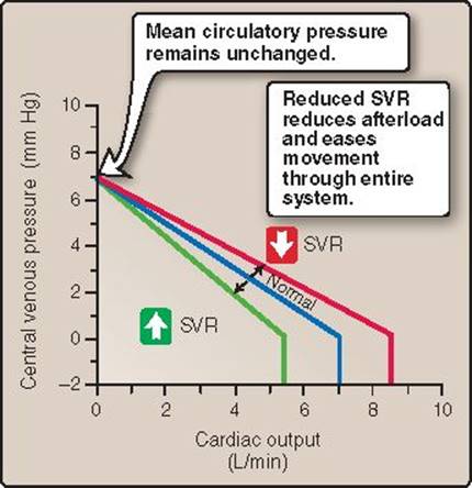 Cardiovascular Regulation - Lippincott Illustrated Reviews: Physiology ...