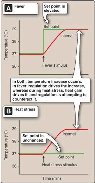 Thermal Stress and Fever - Lippincott Illustrated Reviews: Physiology ...