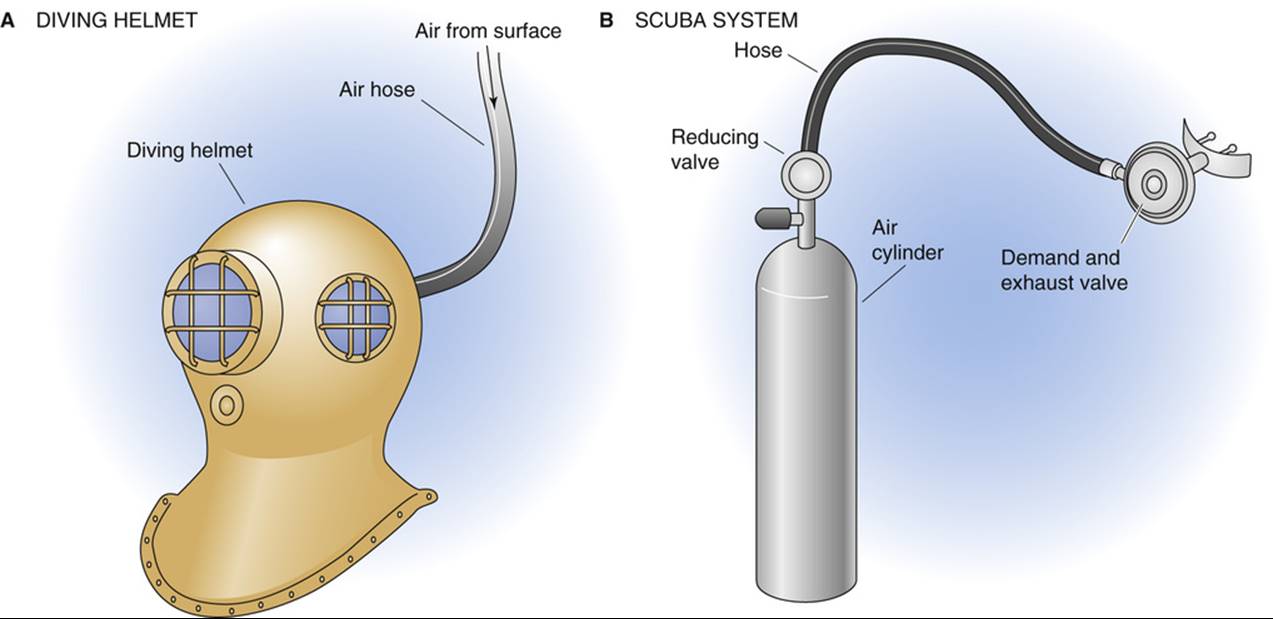Diving Physiology - Environmental Physiology - Physiology of Everyday ...