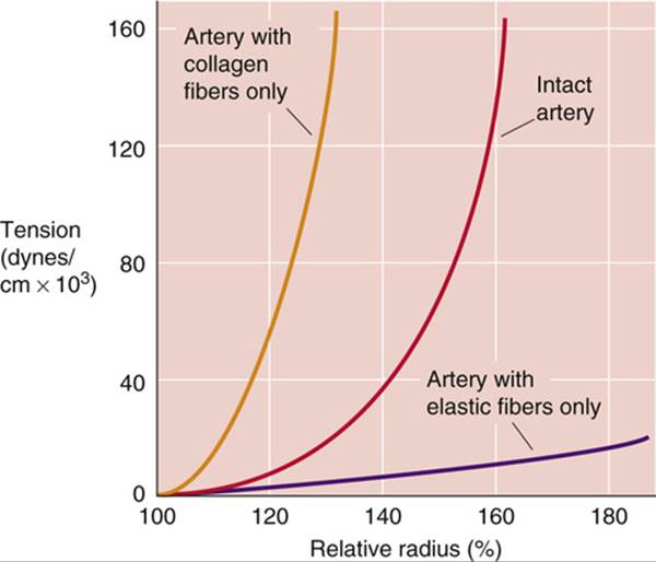 Elastic Properties of Blood Vessels - Arteries and Veins - The ...
