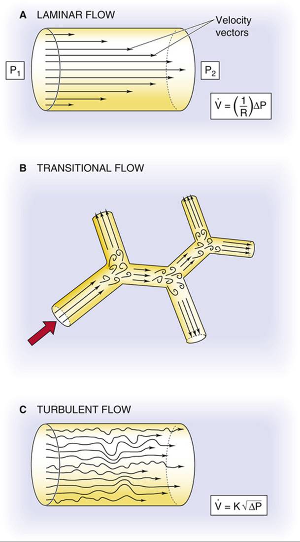 Dynamic Properties of the Lung - Mechanics of Ventilation - The ...
