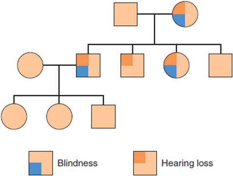 Genetic Disease - Pathophysiology of Disease: An Introduction to ...