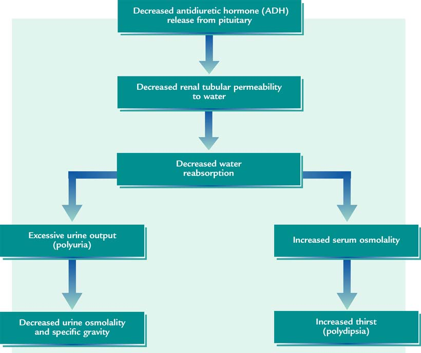 Diabetes insipidus - Atlas of pathophysiology, 2 Edition