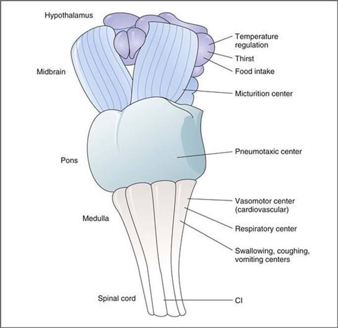 ORGANIZATION AND GENERAL FEATURES OF THE AUTONOMIC NERVOUS SYSTEM ...