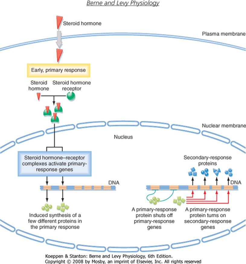 Signal Transduction, Membrane Receptors, Second Messengers, and ...