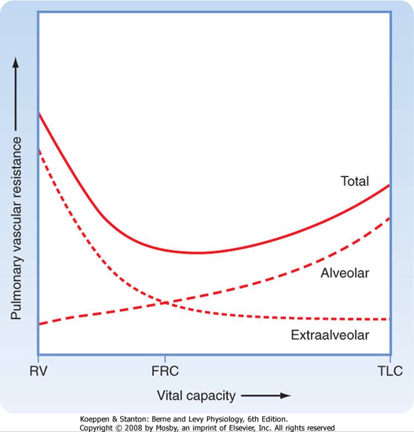 Ventilation (V), Perfusion (Q), and V/Q Relationships - Berne and Levy ...