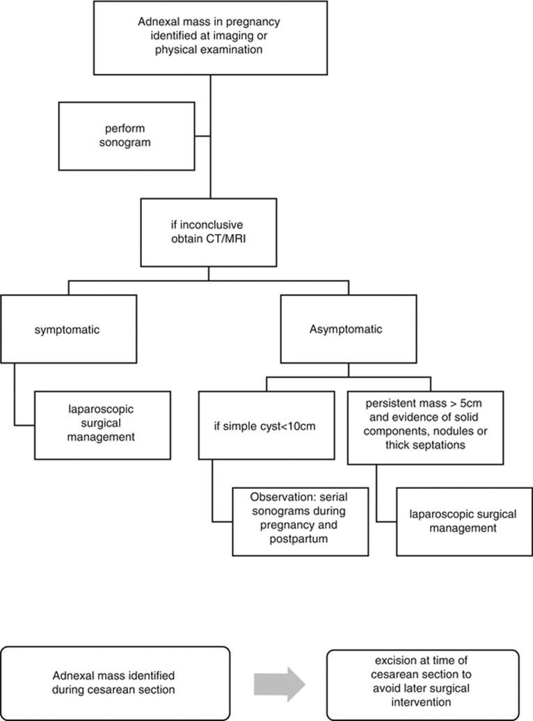 Adnexal Pathology in Pregnancy - Management and Therapy of Early ...