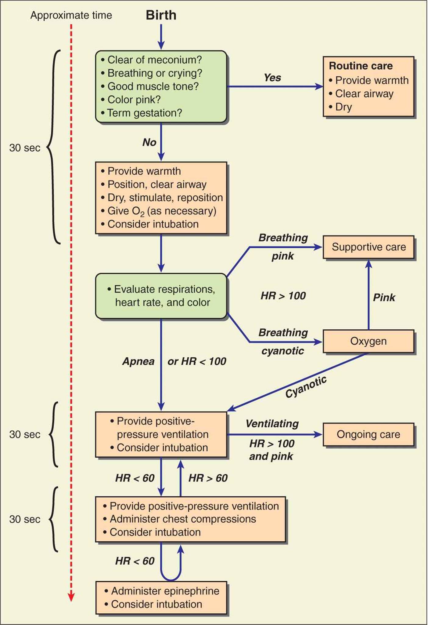 Resuscitation of the Newborn Infant - COMPLICATIONS IN THE FETUS OR ...