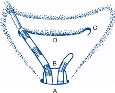 Urogenital problems - Hunt & Marshall's Clinical Problems in Surgery, 2 Ed.