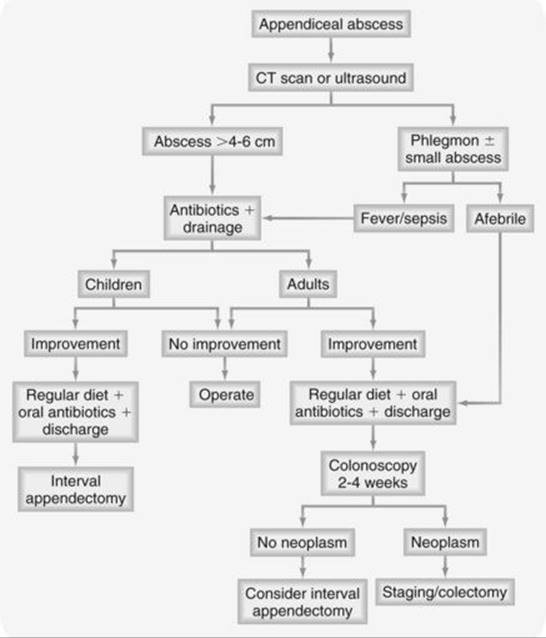 Small Bowel and Appendix - Alimentary Tract - Rush University Medical ...
