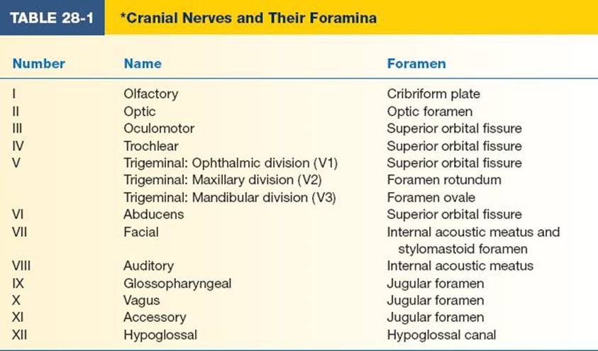 Facial Trauma - Michigan Manual of Plastic Surgery (Lippincott Manual ...