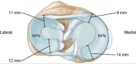 Meniscal Repair - SPORTS MEDICINE - Operative Techniques in Orthopaedic ...
