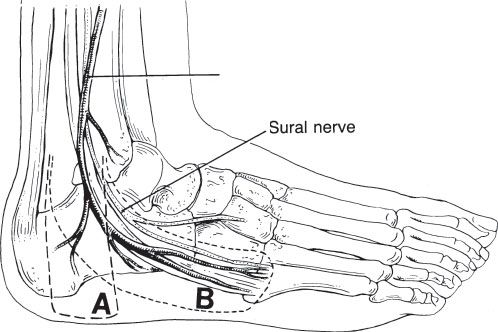 FOOT AND ANKLE RECONSTRUCTION - Plastic surgery