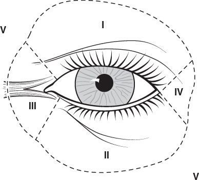 RECONSTRUCTION OF THE EYELIDS, CORRECTION OF PTOSIS, AND CANTHOPLASTY ...
