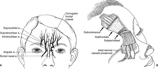 NASAL RECONSTRUCTION - Plastic surgery