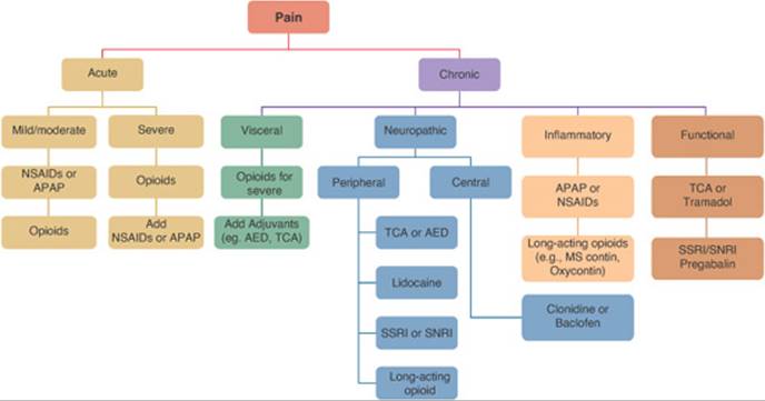 Pain Management - Disorders of Organ Systems - Pharmacotherapy ...