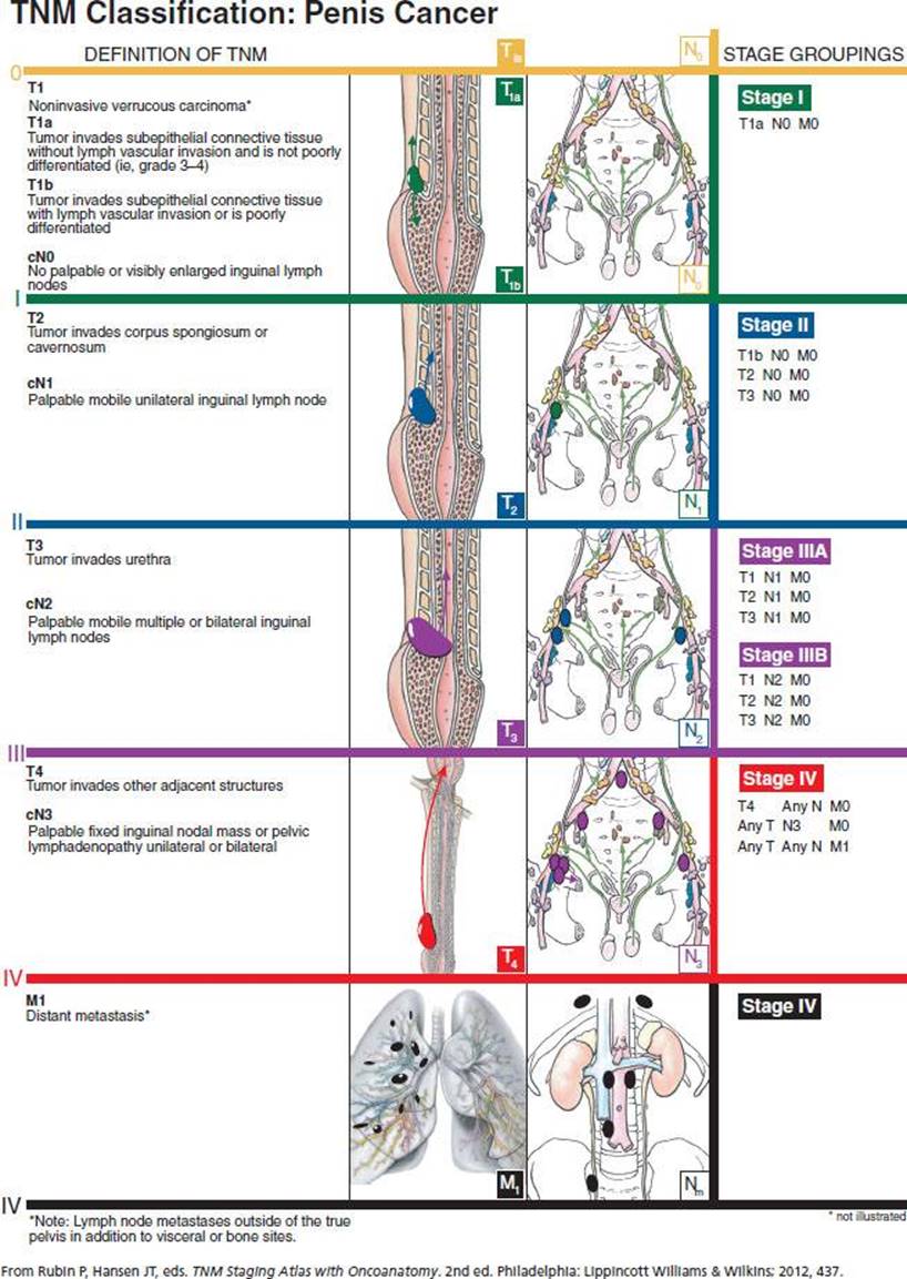 Reference Tables - The 5 Minute Urology Consult 3rd Ed.
