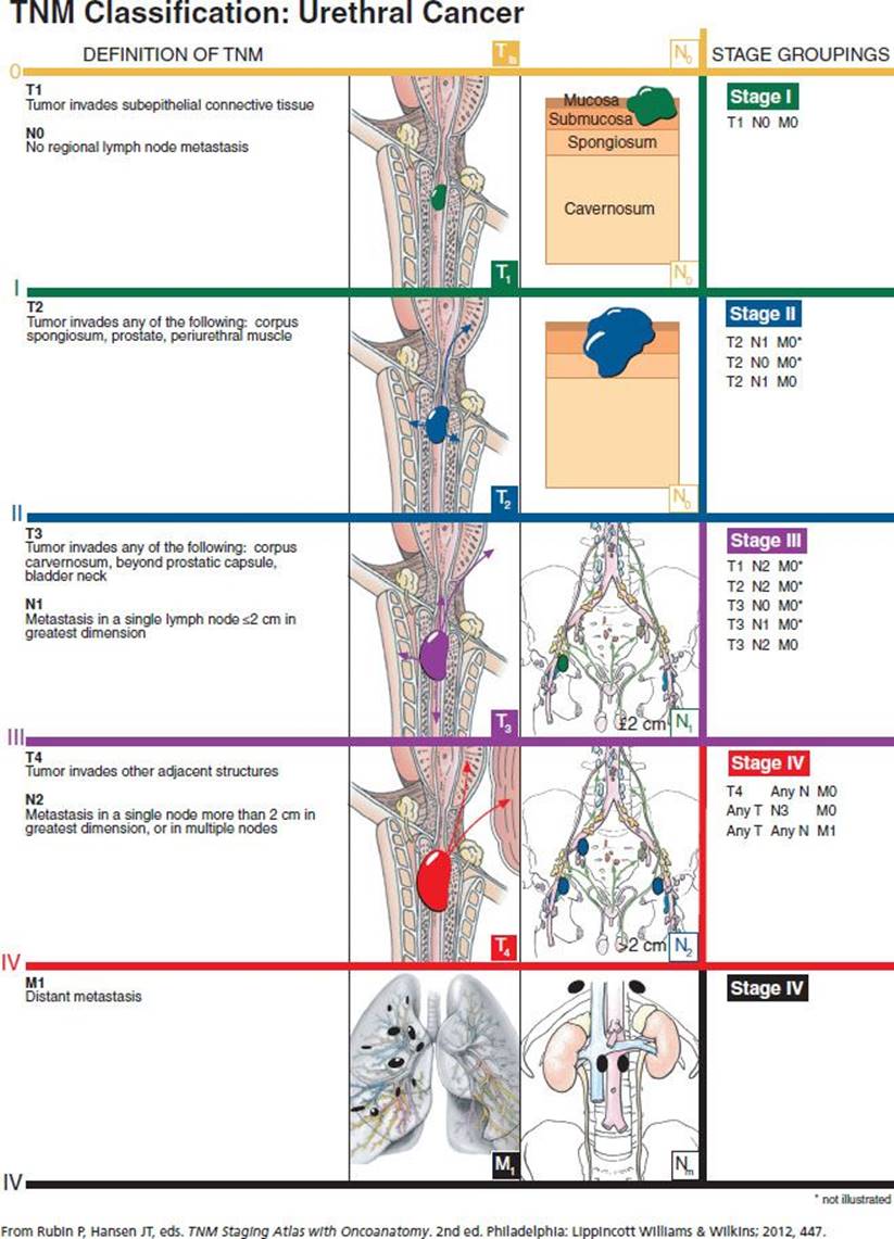 Reference Tables - The 5 Minute Urology Consult 3rd Ed.